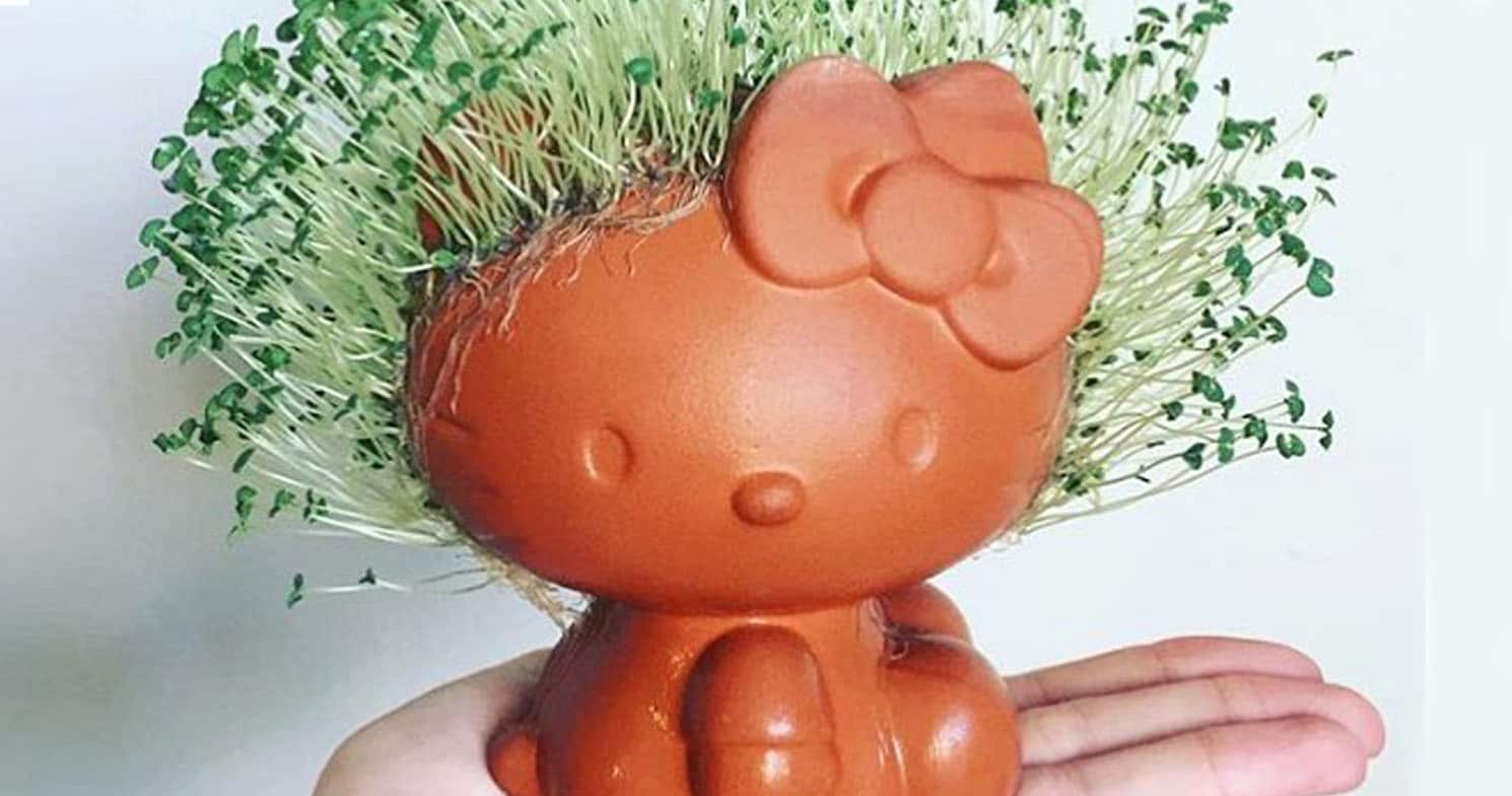 Hello Kitty Chia Pet - Shut Up And Take My Yen